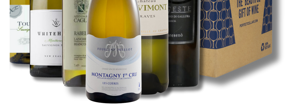 6 Bottle 'Introduction to Fine White Wine' – Perfect Cellar