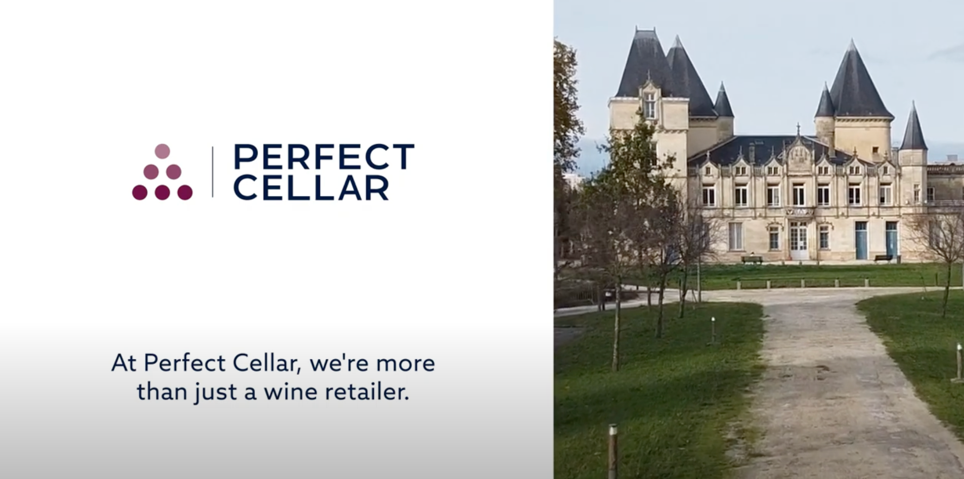 About Perfect Cellar