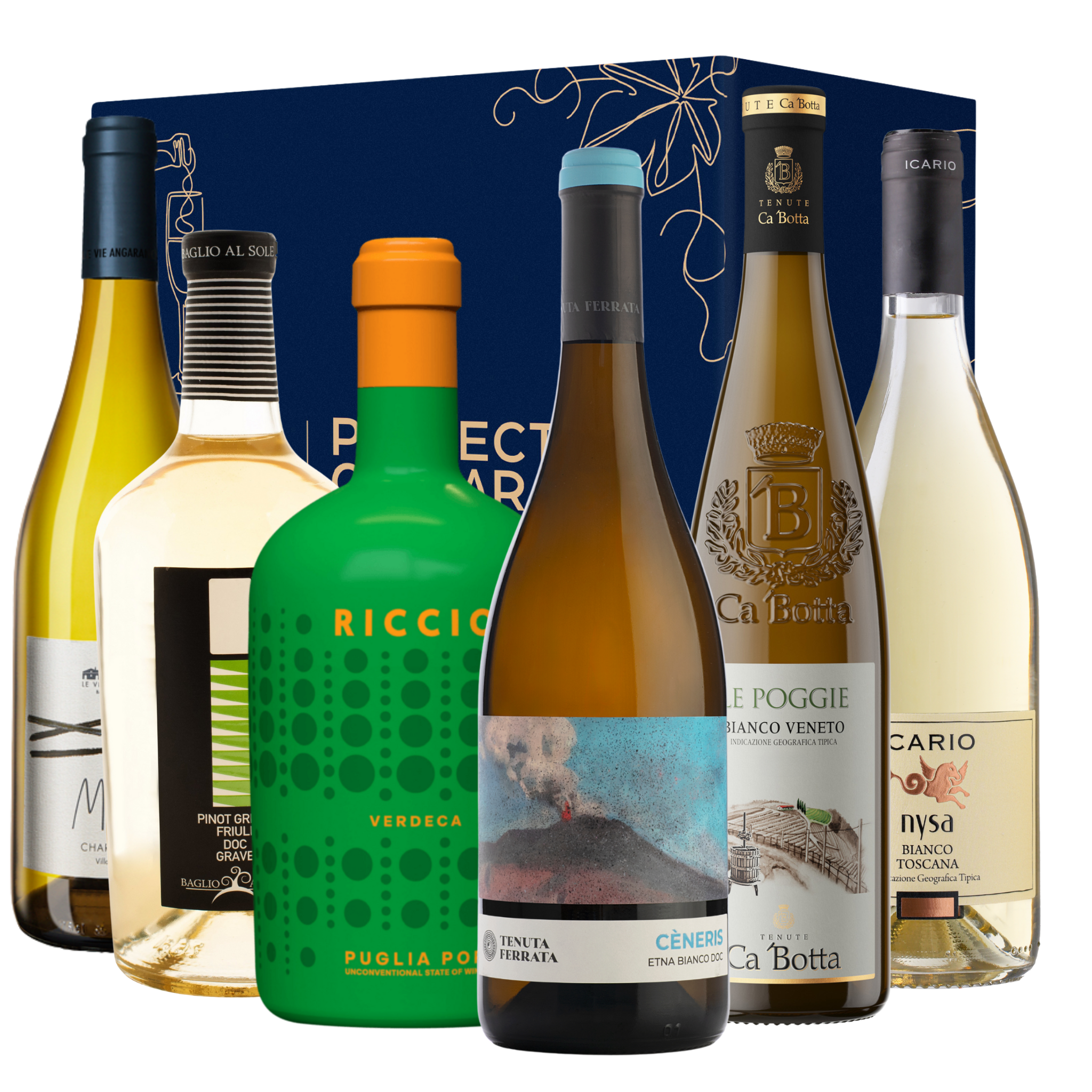The Perfect Cellar Italian White Collection